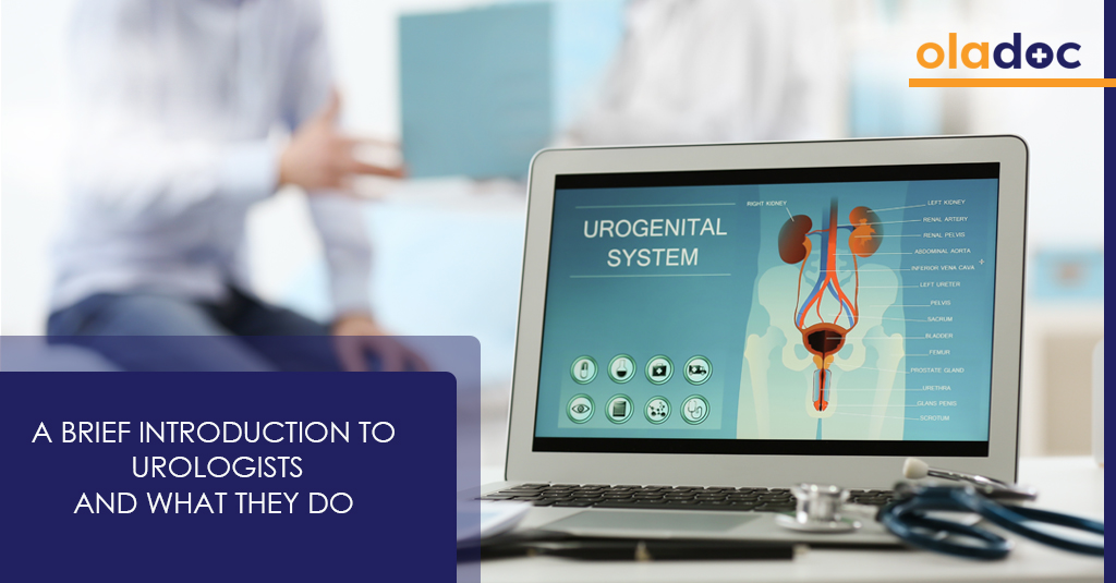 A Brief Introduction To Urology And Urologists | Urogenital Health ...