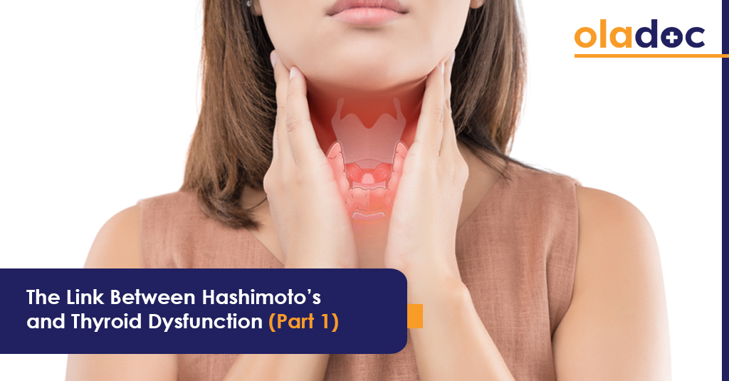 The Link Between Hashimoto’s and Thyroid Dysfunction (Part 1) | Thyroid ...