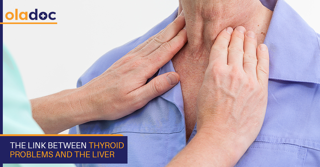 The Link Between Thyroid Problems and the Liver | Thyroid Care | oladoc.com